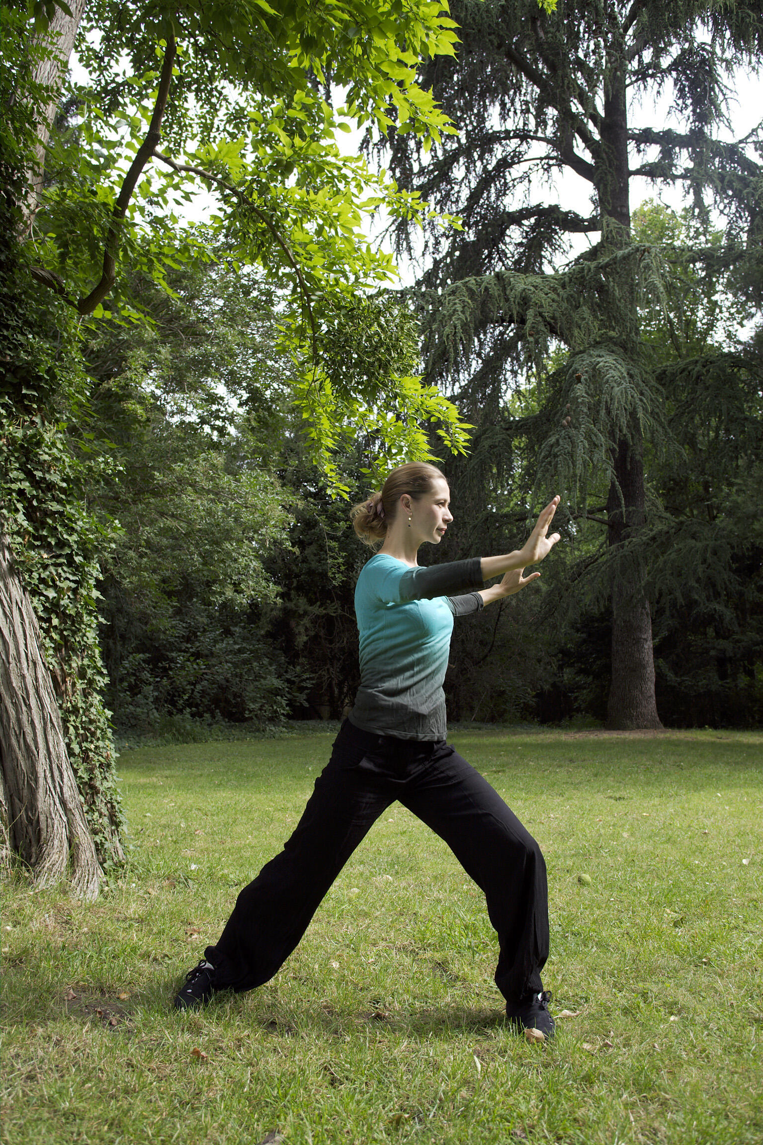 L’énergie du Qi Gong et la science occidentale
